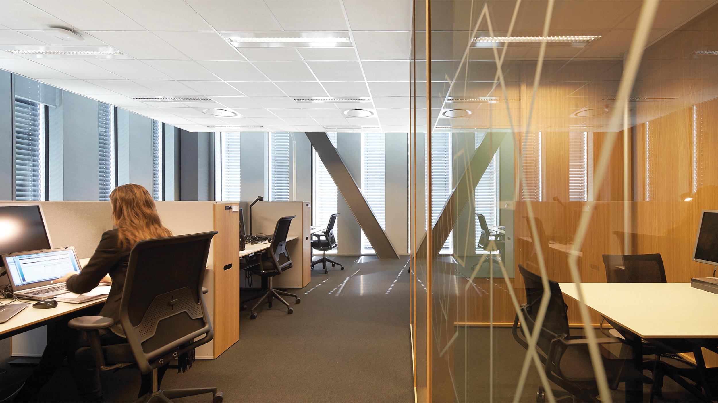 Interior Walls and Ceiling | Nuor Global